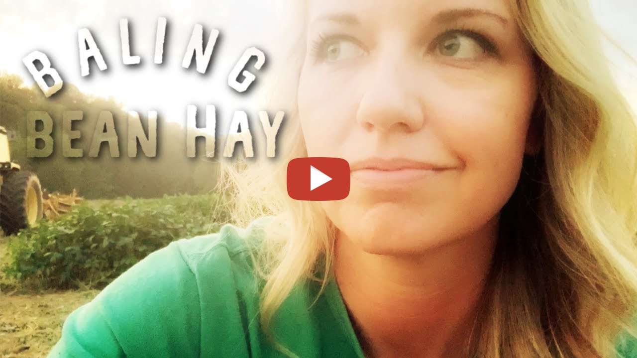 This Farm Wife - Meredith Bernard -- Night Moves : Raking & Baling Bean ...