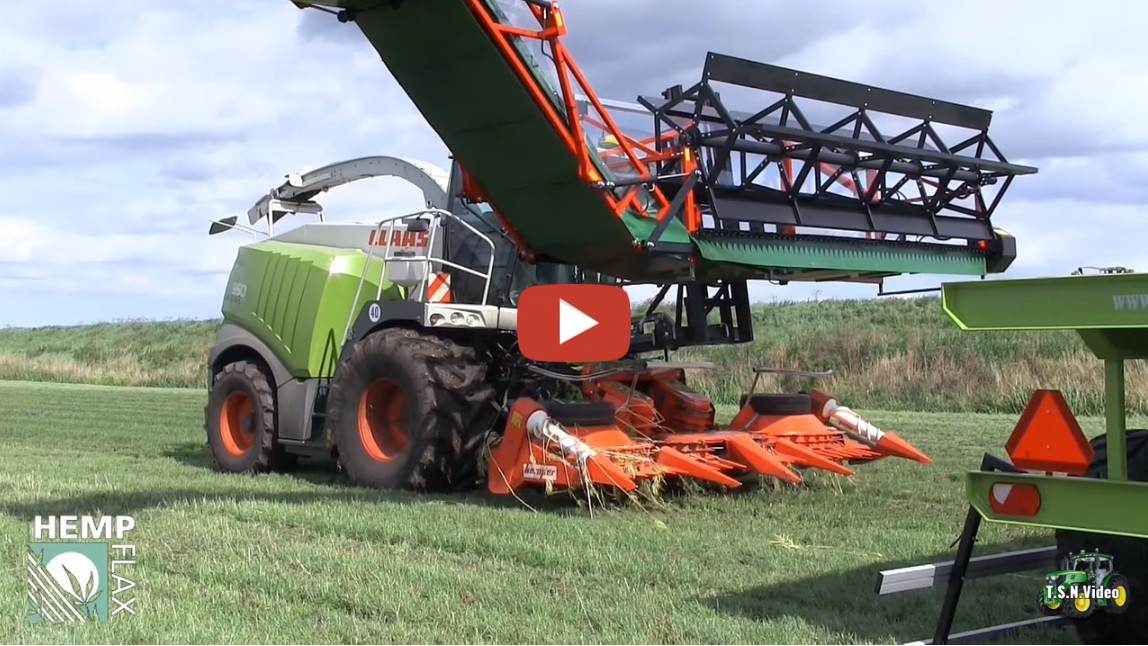 Hemp harvest with a special made Claas 950 chopper..... See how its ...