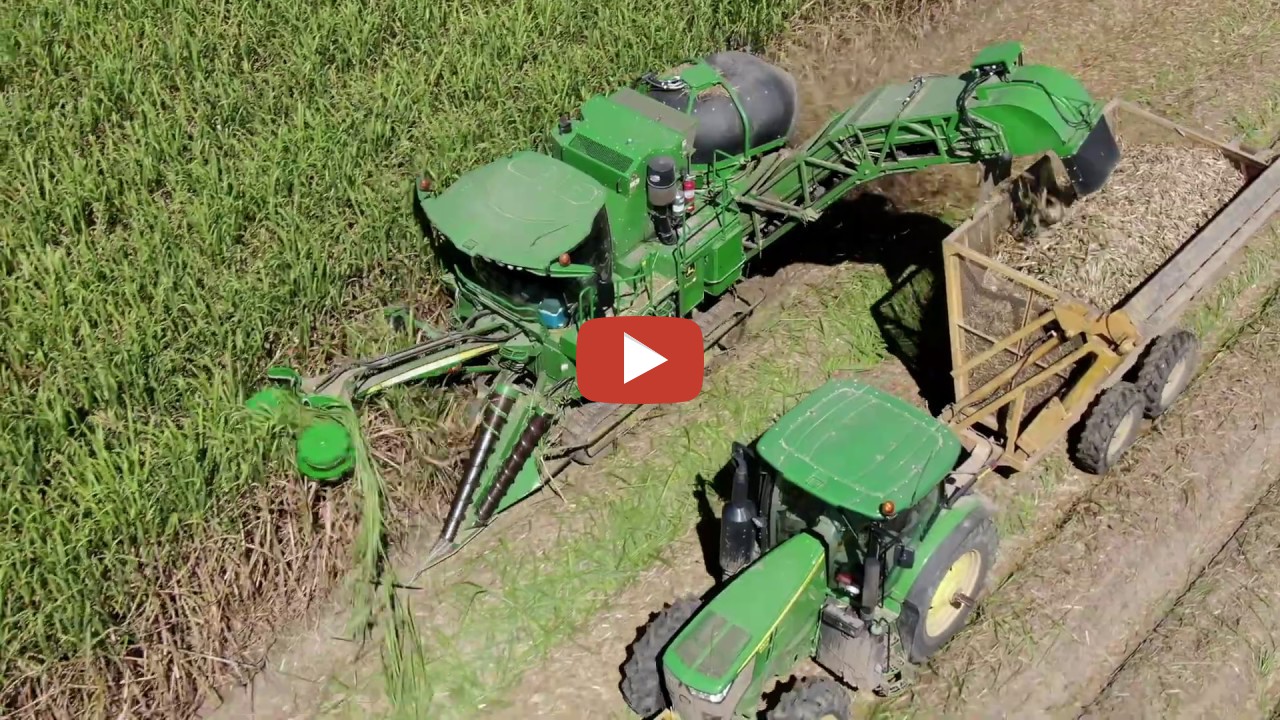 A John Deere CH570 cutting sugarcane in Thibodaux Louisiana for the ...