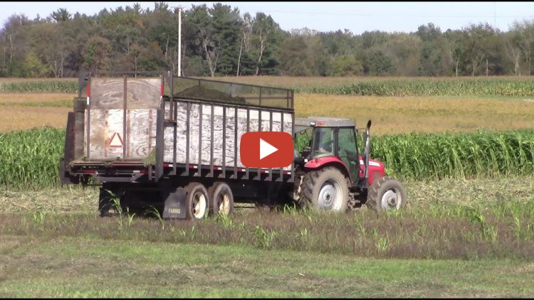 Acres of Clay Homestead -- Chopping 4th Cutting New Holland Forage ...