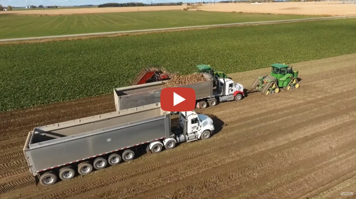 Farmable - SUGAR BEET HARVEST | Hauling Beets to the Factory - We had ...
