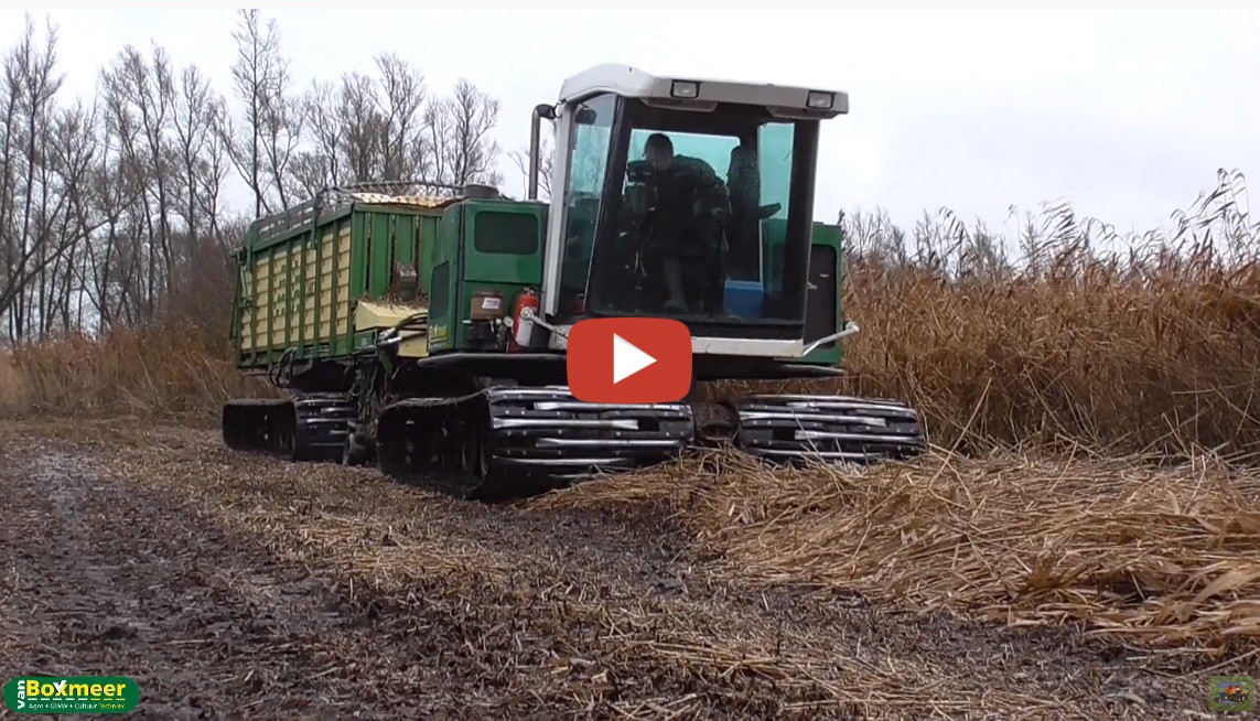 Wetland reed mowing + picking up by Van Boxmeer in the Biesbosch ...