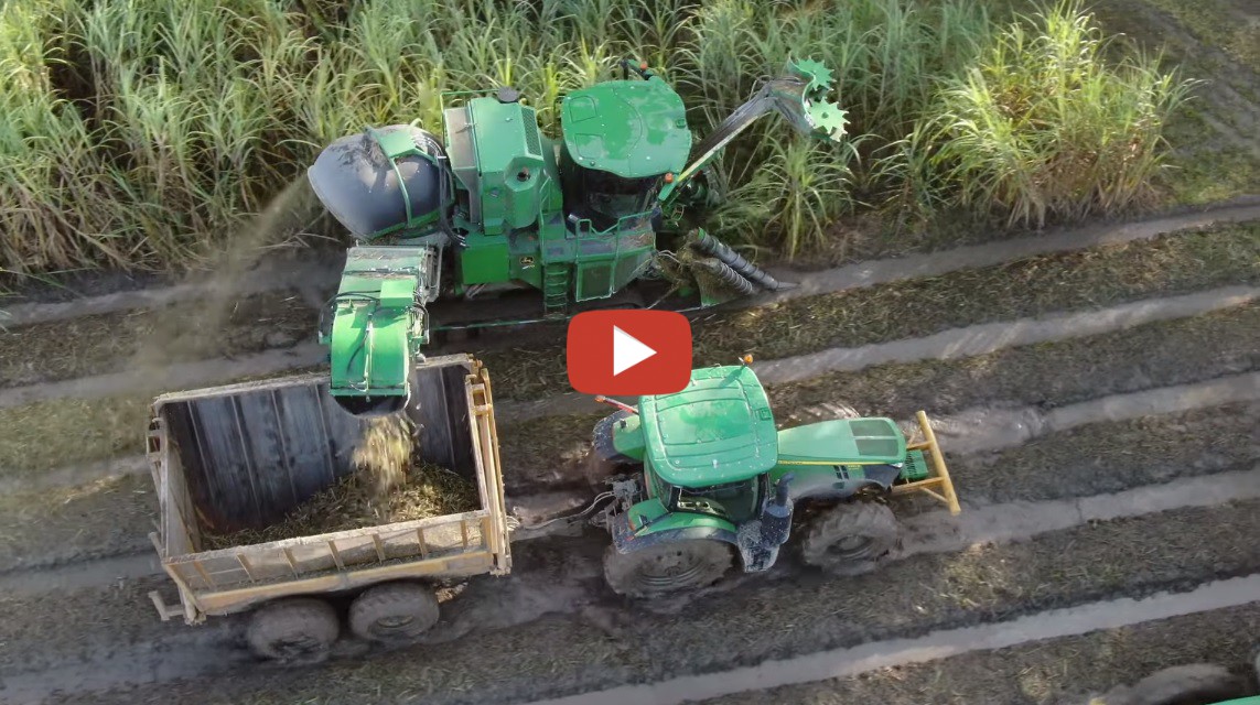 Harvesting some down cane right after Tropical Storm Olga passed with ...