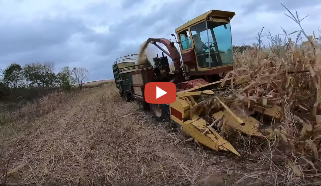 Dry Corn Silage Disaster for Old New Holland.. It all goes wrong. Good ...