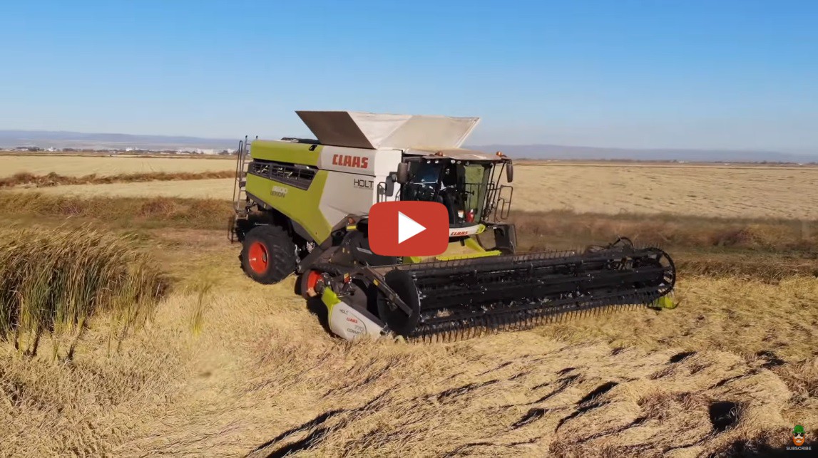 During the final days of the 2019 California rice harvest I check out ...