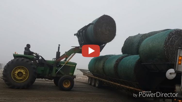 Loading hay bales with a John Deere with front loader. -- South Sask Farmer