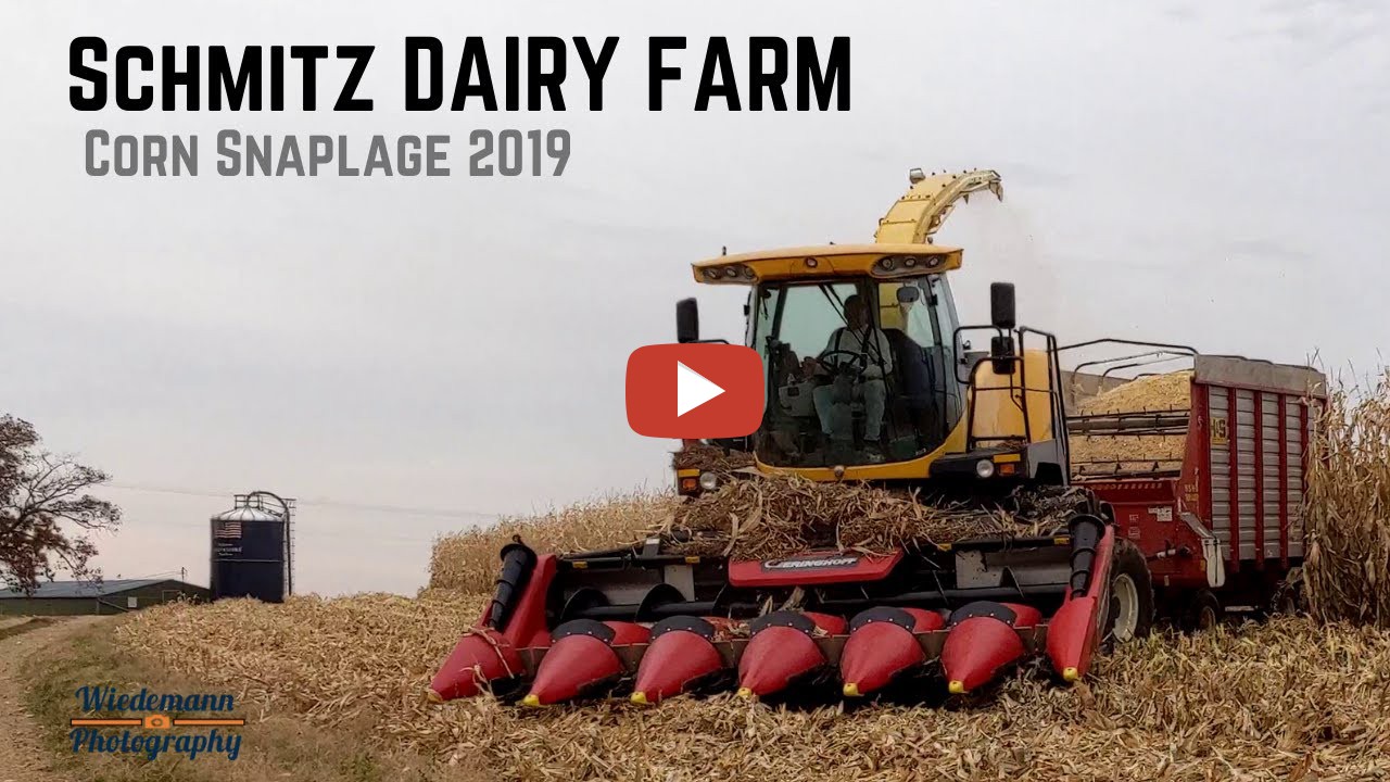 Schmitz Dairy Farm - Corn Snaplage - Harvest 2019 with New Holland ...