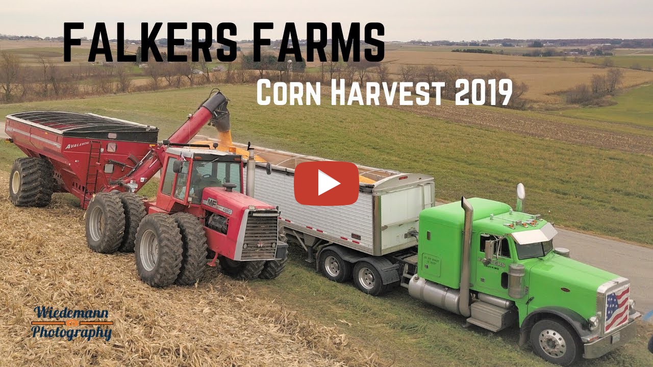Western Wisconsin farming -- Falkers Farms Corn Harvest 2019 ...