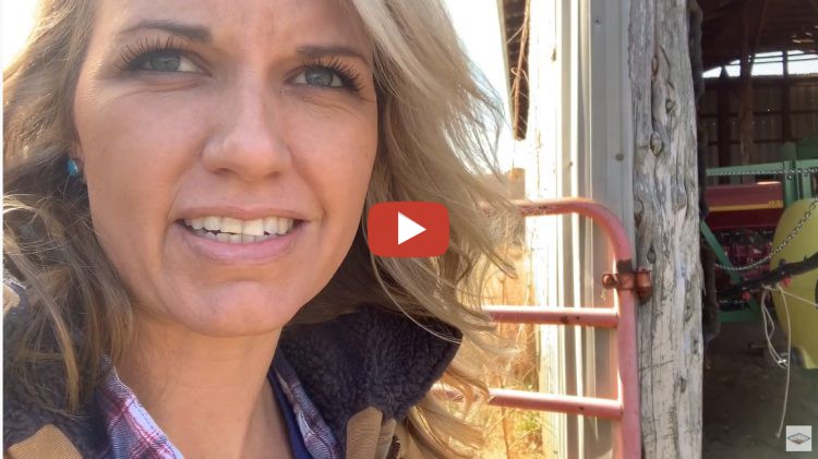 This Farm Wife - Meredith Bernard - This week we finally got to start ...