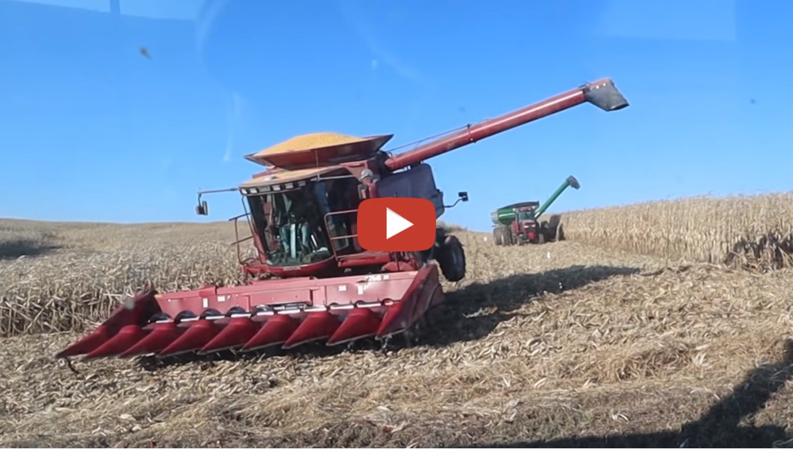 Cole The Cornstar -- Harvest is wrapping up on Cornstar Farms. I ...