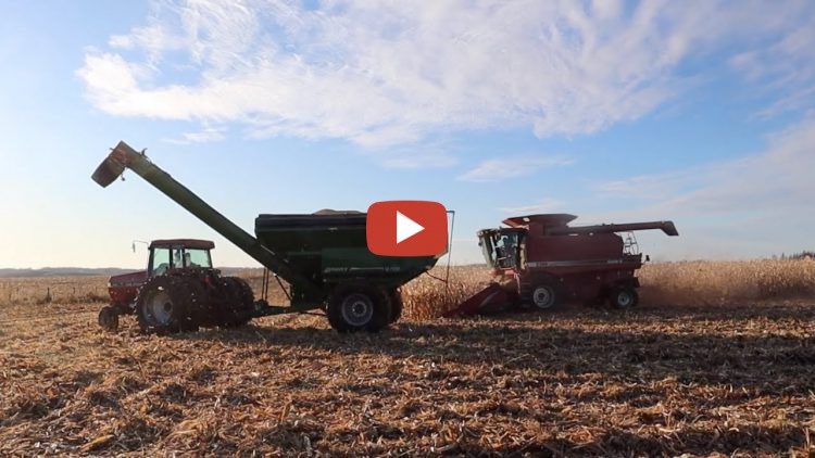Cole The Cornstar - Harvest. Is. Done. Combining corn was going very ...