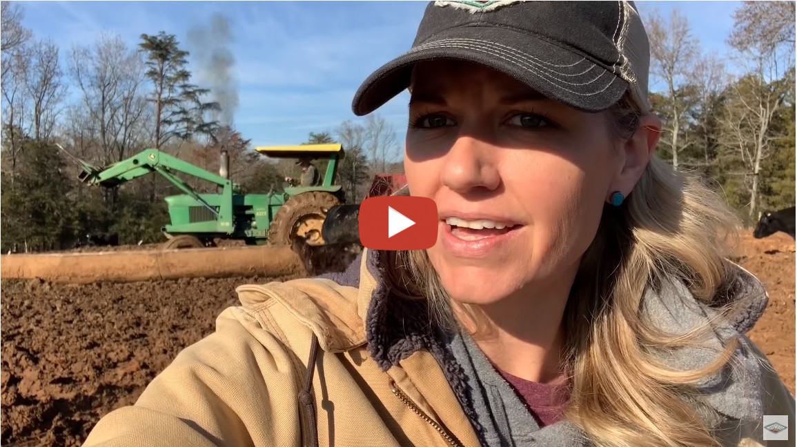 This Farm Wife - Meredith Bernard - Christmas has come and gone and it ...