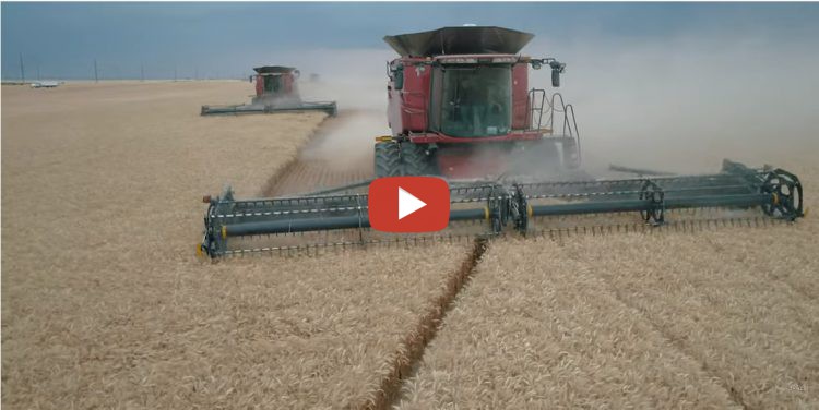 Here is a video of the Wolgemuth crew from Pennsylvania Case ih ...