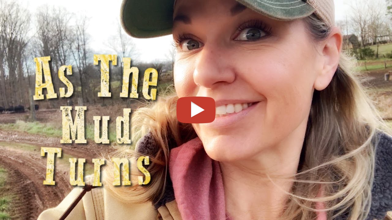 This Farm Wife - Meredith Bernard --The mud continues to turn and these ...