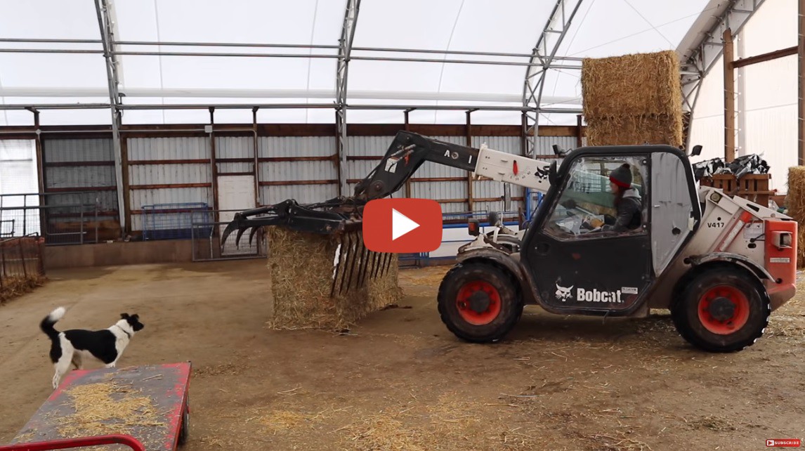 Sandi Brock -- I'm farming alone now - The beginning of a two month ...