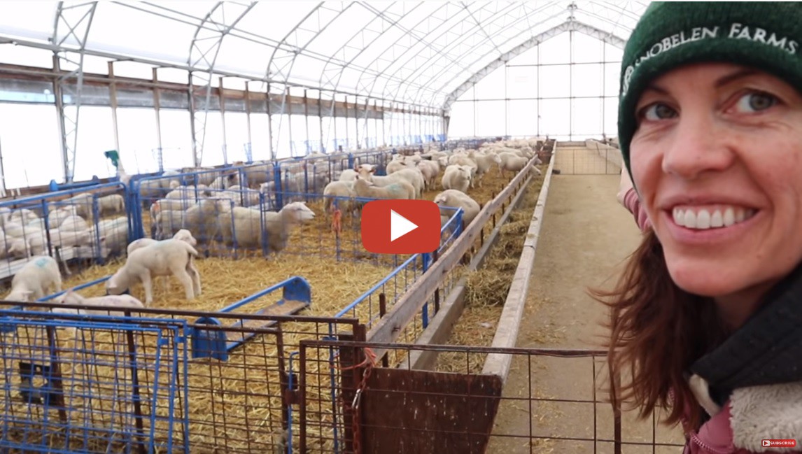 Sandi Brock -- Something bad happened --Tuesday was rough. But it was ...