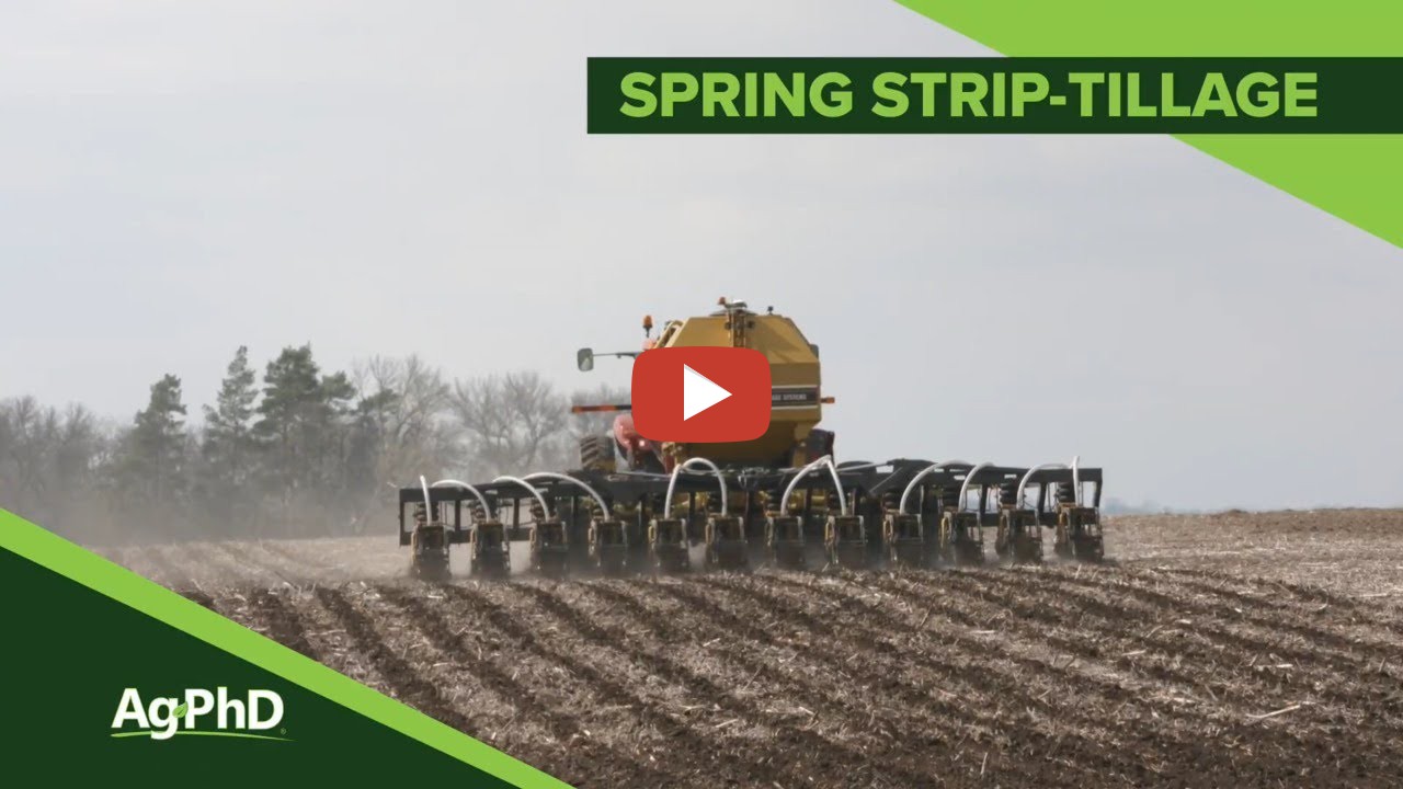 Brian and Darren Hefty talk about doing strip-tillage in the spring ...