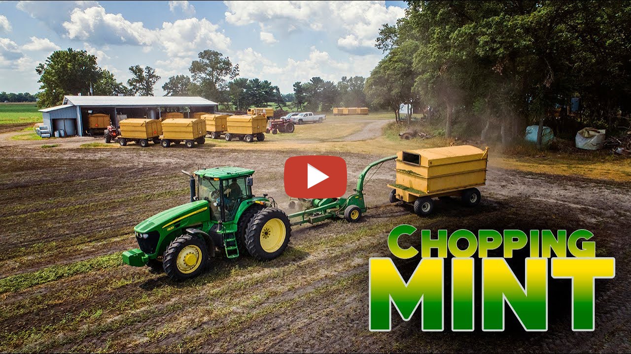 How Farms Work -- Peppermint Harvest - John Deere 7830 & 8320 - We ...