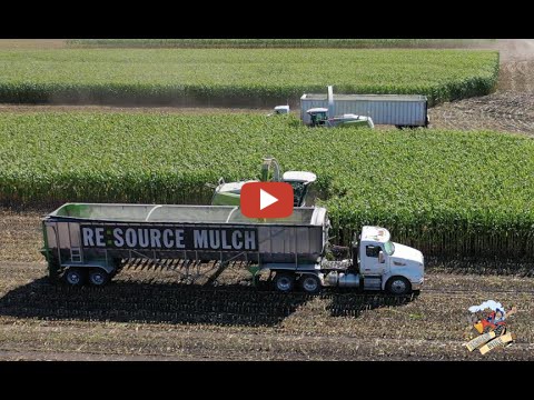 Mike Less - Farmhand Mike -- J MAR Farms as they custom chop corn ...