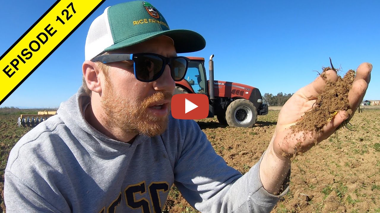 Rice Farming TV -- I'm Planting My 1st Ever Corn Field in this Tractor ...