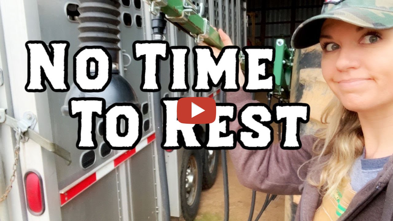 This Farm Wife - Meredith Bernard -- No time to rest, because more ...