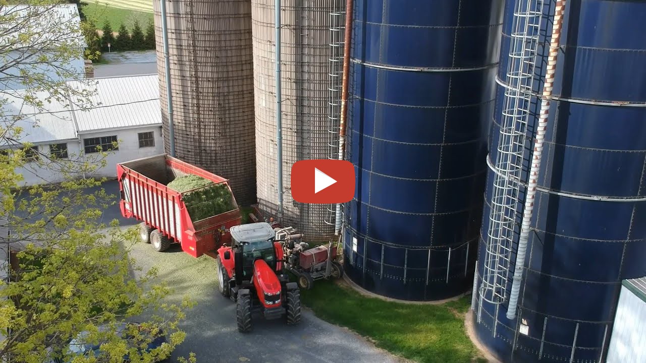 Chopping and Filling Silo Raking, chopping and storing rye silage for dairy cow feed. With Claas ...