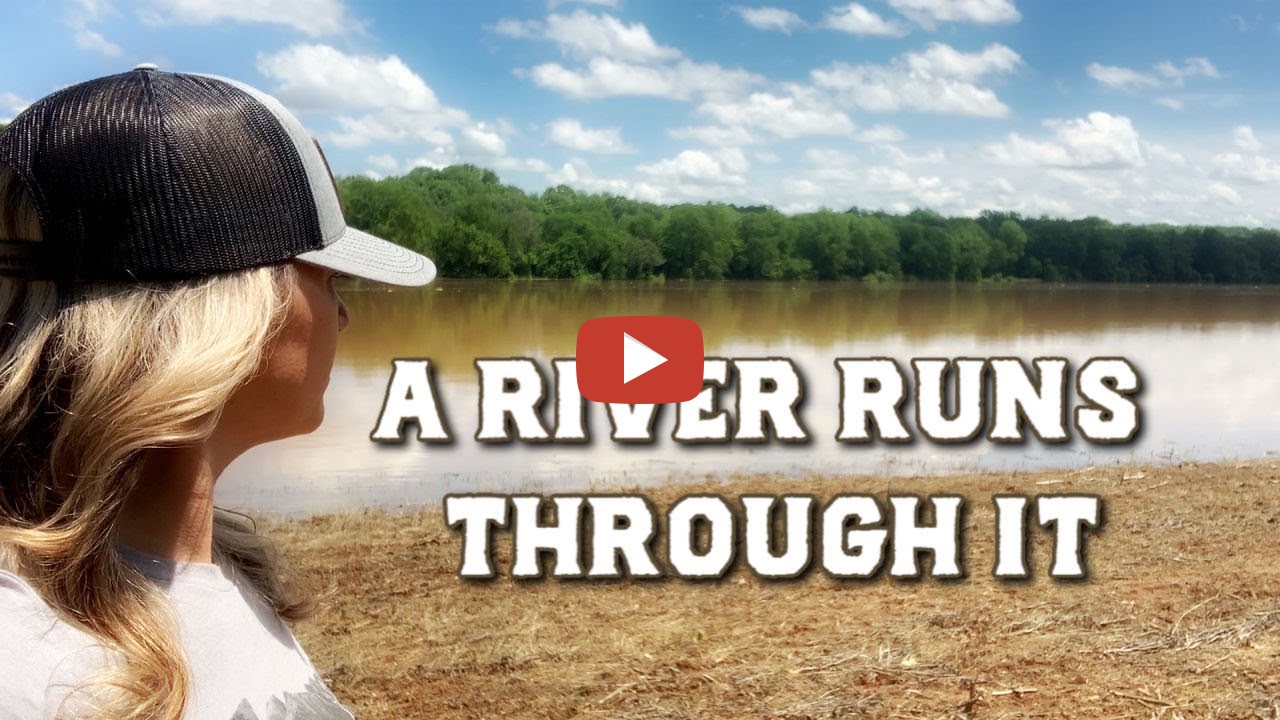 This Farm Wife - Meredith Bernard - When it rains, it pours and that's ...