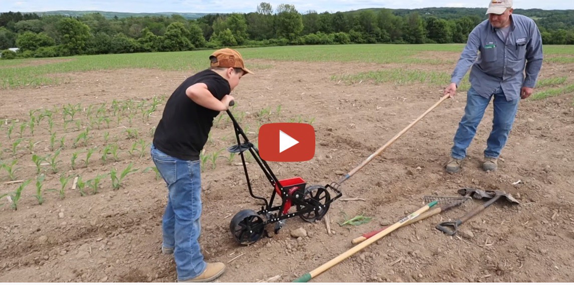 Replanting corn by human power........ and tedding hay with a John ...