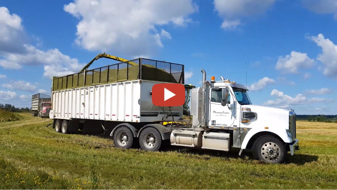 A few short clips from Meinema Custom Farming Lacombe Alberta Canada ...