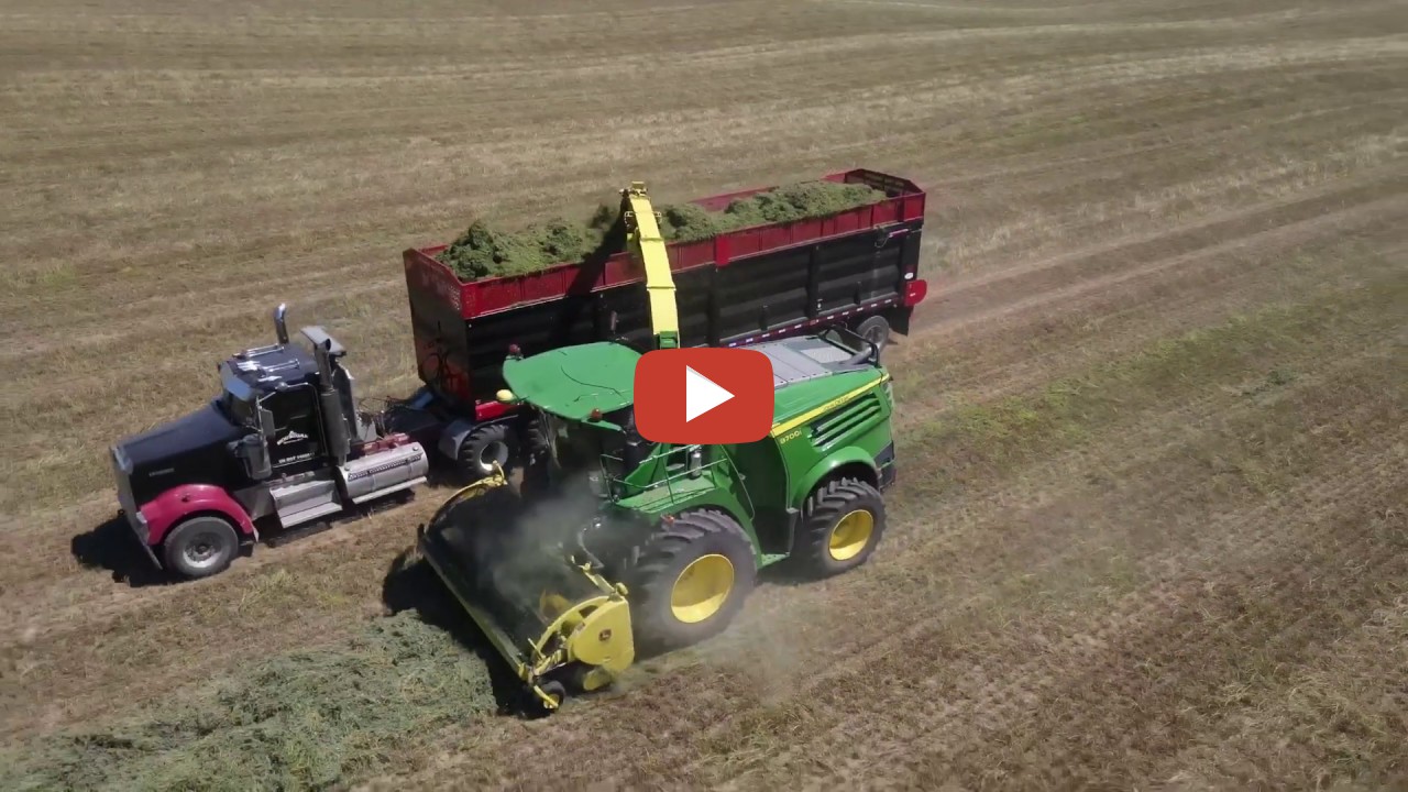 Merging and Chopping Hay. The first cutting 2020 ... With a John Deere chopper -- Farming Fixing ...