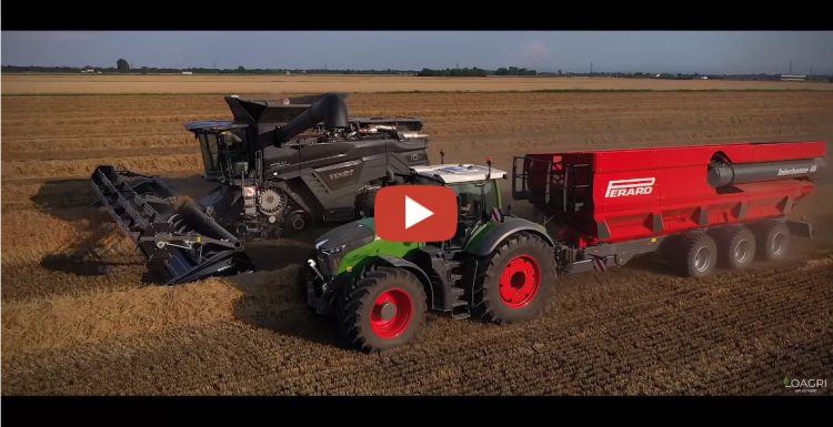 HARVEST of Wheat 2020 in Italy with the all new Fendt IDEAL 10T ...