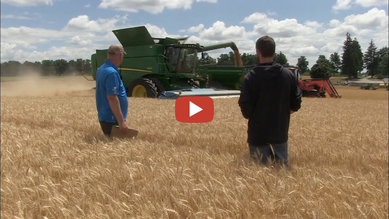 The Sharp Edge - Stripper header boosts double crop soybeans - James ...