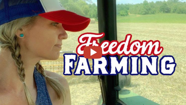 This Farm Wife - Meredith Bernard - Freedom Farming! : Making Hay on ...