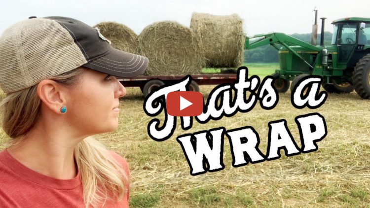 This Farm Wife - Meredith Bernard - We finished baling and hauling our ...
