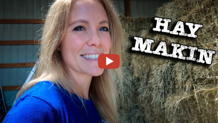 WT Farm Girl Videos -- Cutting hay, tedding hay, raking hay and baling ...