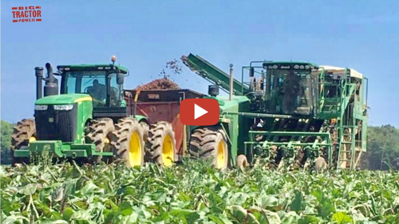 bigtractorpower - Red Beet Harvest 2020 - A 325 hp VOGEL Red Beet ...