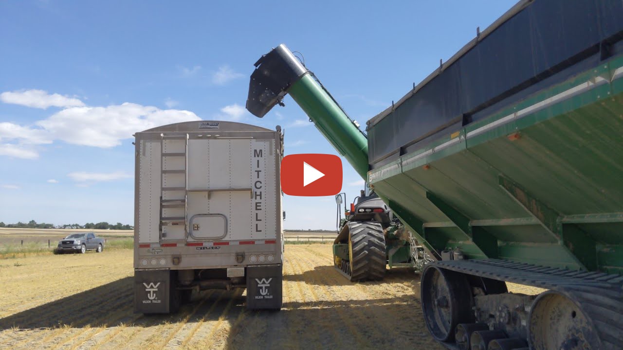 Harvest 2020 - What an eventful day! Some days are more successful than ...