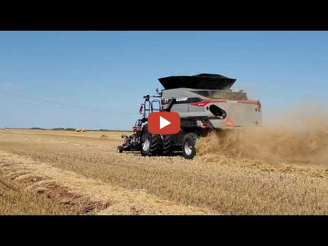Near Elm Creek, MB 2020 Two Gleaner S77 Super Seven combines are ...