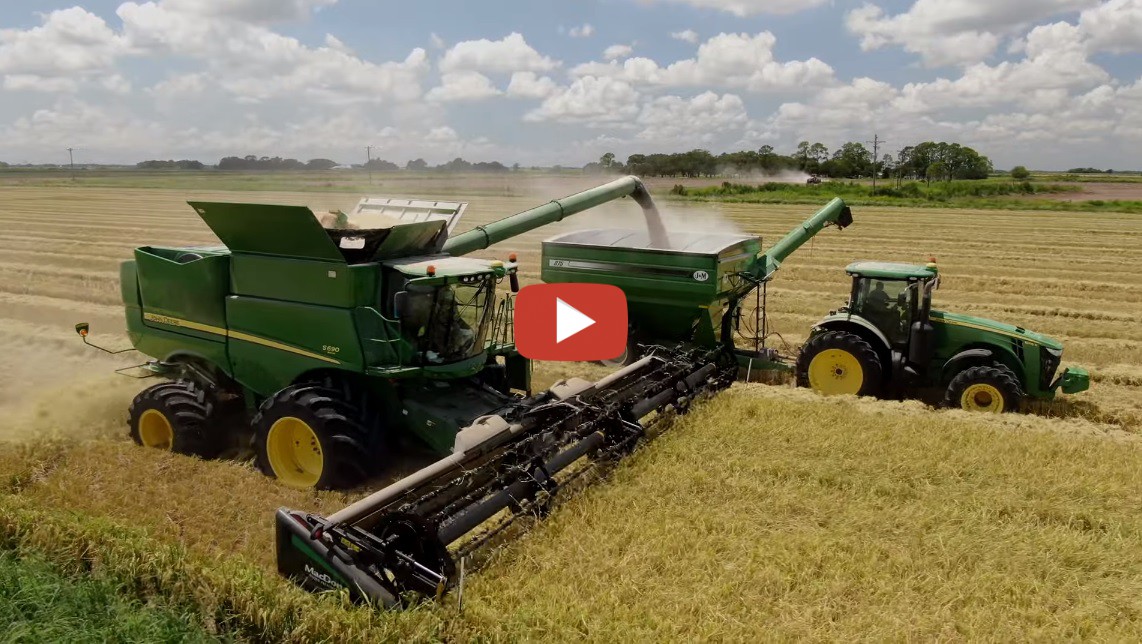 2020 Louisiana Rice Harvest - Oak Tree Farms harvesting rice with a ...