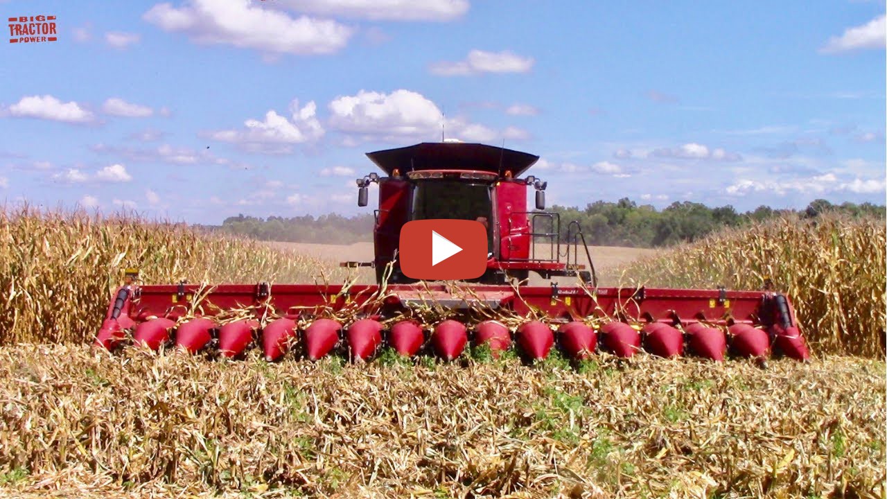 CASE IH 16 Row Corn Head - Big Tractor Power spends time out in the ...