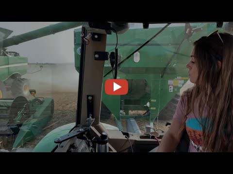 Erin Holbert - Officially kicked off harvest by cutting beans this ...
