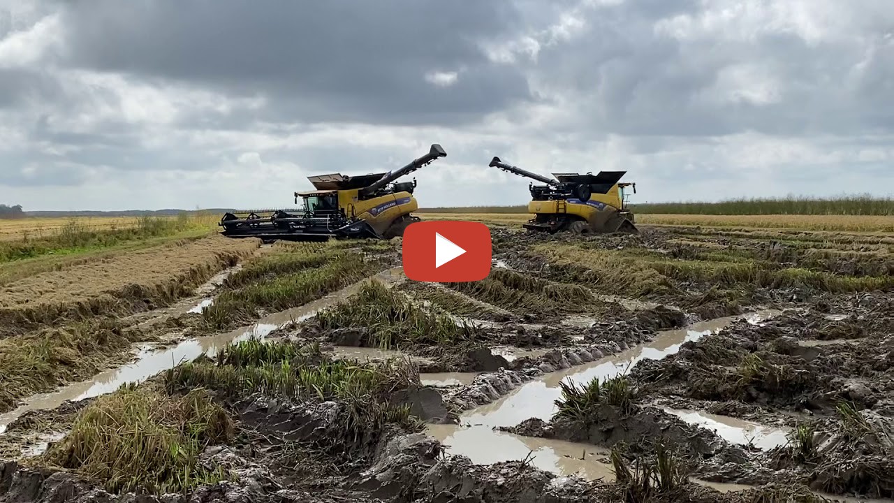 Playing in the mud with New Holland......... Bumblebee Farms