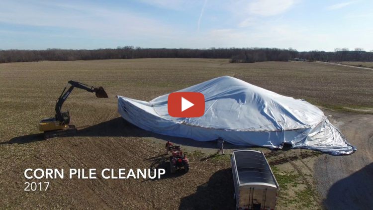 Corn Pile Cleanup - While the weather allowed, we picked up our corn ...