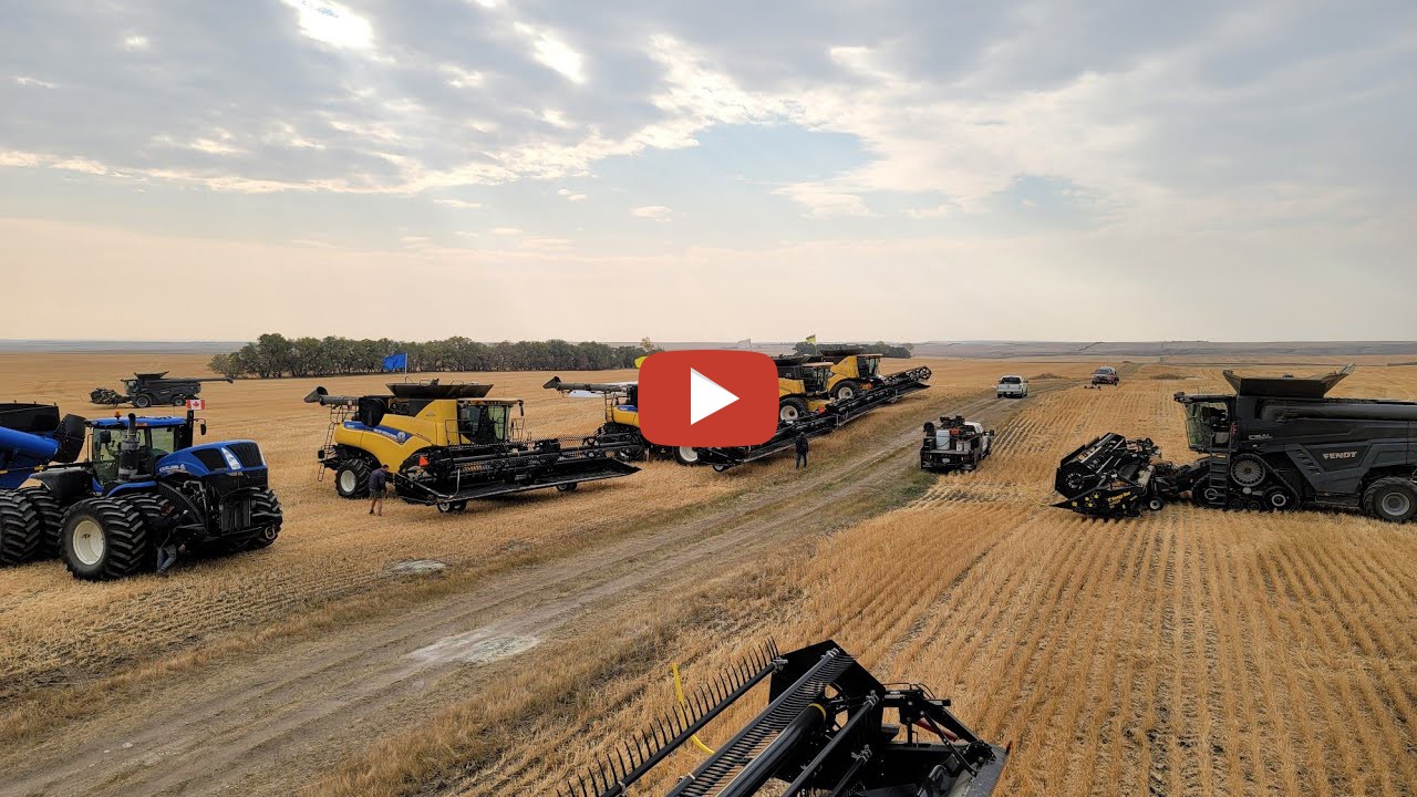 Mike Mitchell -That's it! That's it! That's wrap for the 2020 harvest ...