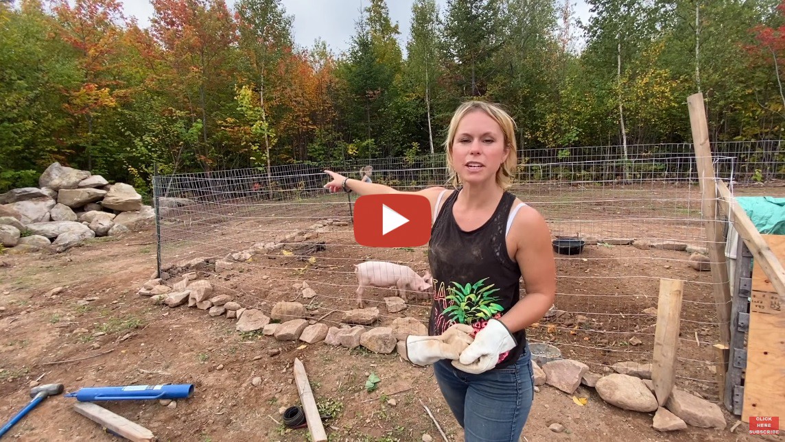 FARM GIRL - Building the pig pen to keep these pigs in. -- Mapleberry Farm