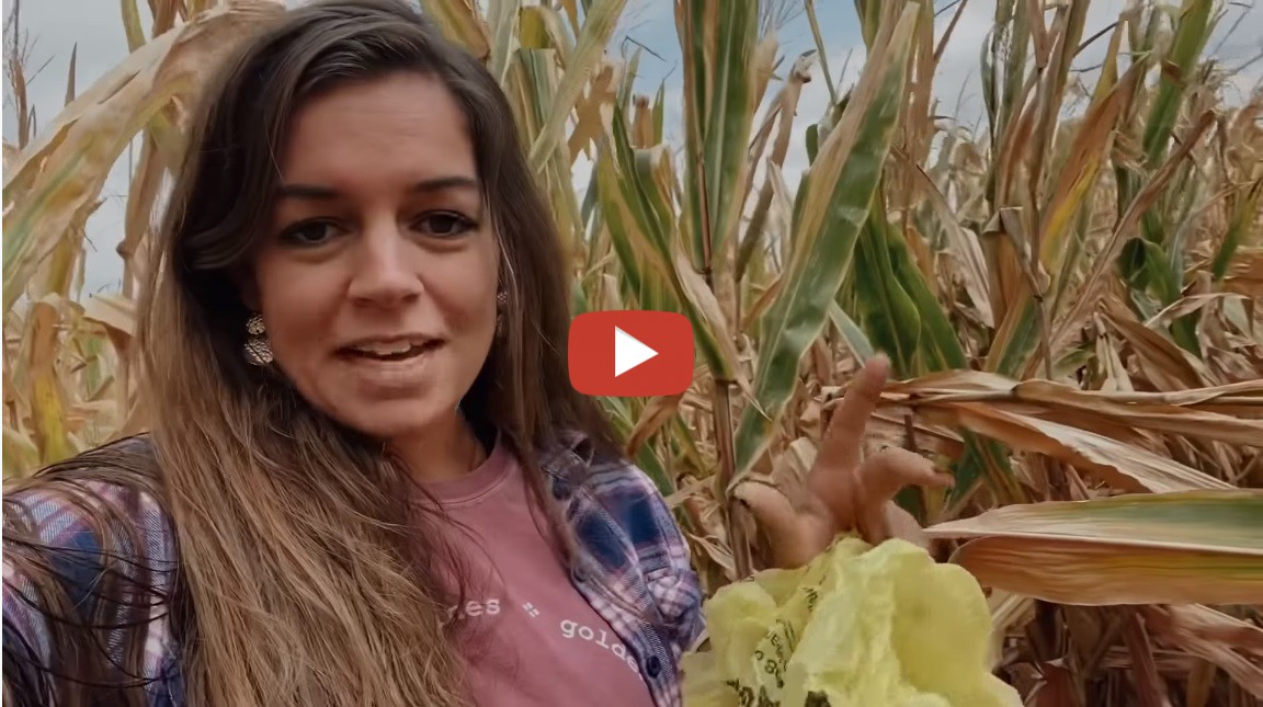 Erin Holbert -- Week Recap: Harvest, Roscoe the Raccoon, & More Harvest ...