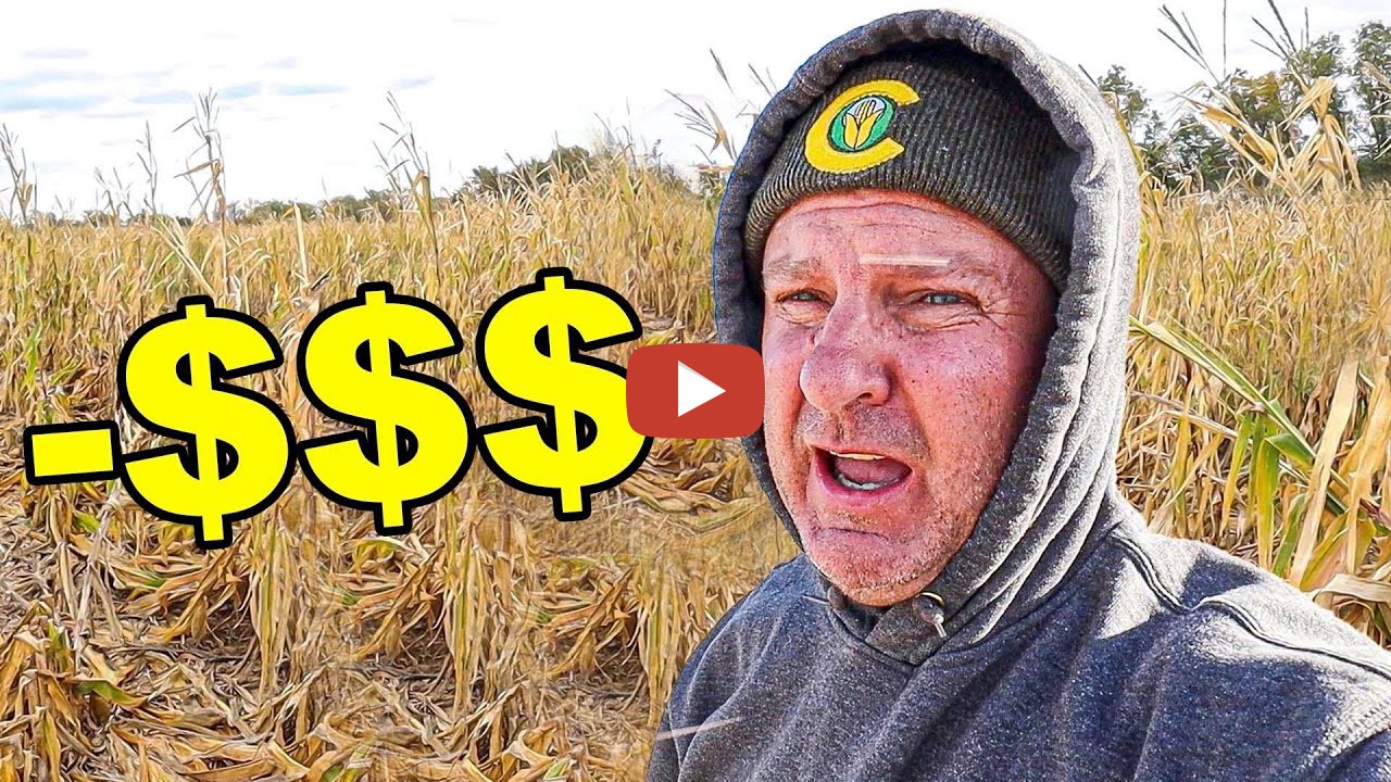 Cole The Corn.........120 MPH+ wind damage is bad. My corn is flat.