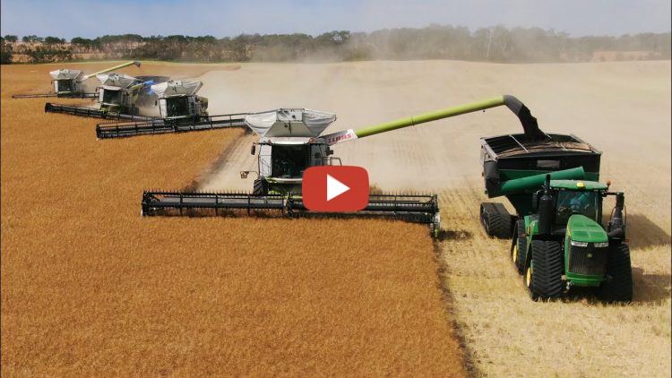 Harvest in Saskatchewan -2020 - Follow along with Double Bar D Farms ...
