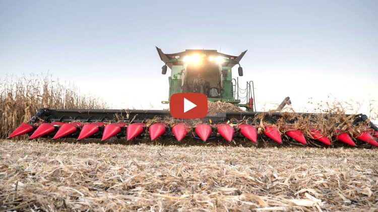 NEW 16 rows Capello Head in ACTION in FRANCE ! 2020 John Deere ...
