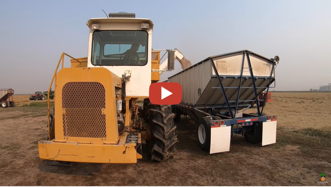 Rice Farming TV 2020 California rice harvest is underway! I'm in the ...